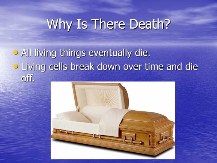 PPT - Death and Dying PowerPoint Presentation - ID:651656