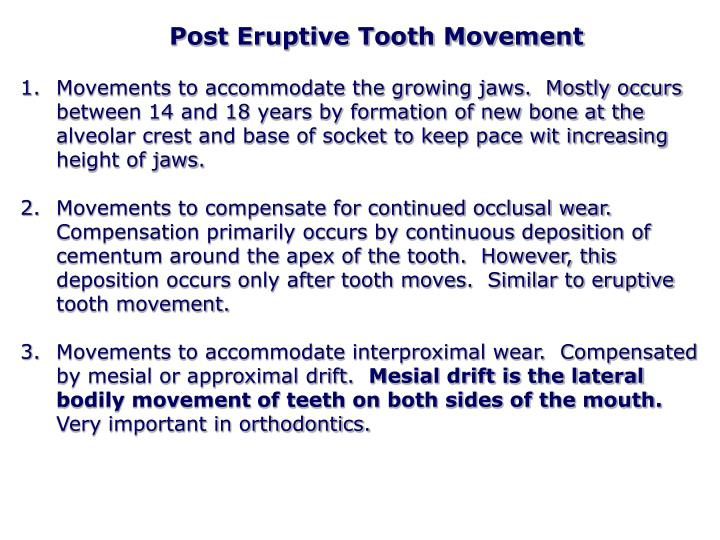 PPT - Eruption and Shedding of Teeth PowerPoint Presentation - ID:653192