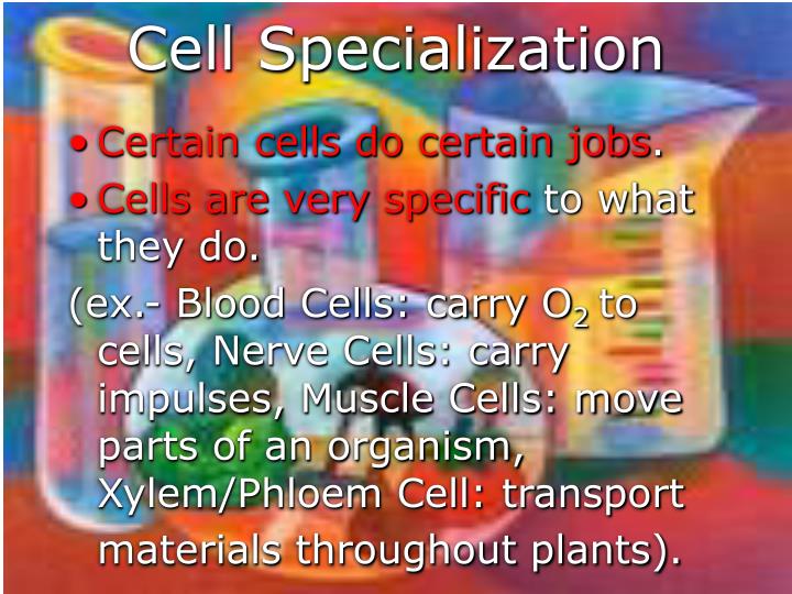 PPT - Cell Structure and Function Chapter 5 PowerPoint Presentation - ID:653262
