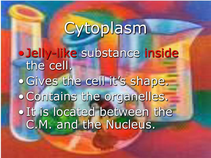 PPT - Cell Structure and Function Chapter 5 PowerPoint Presentation - ID:653262
