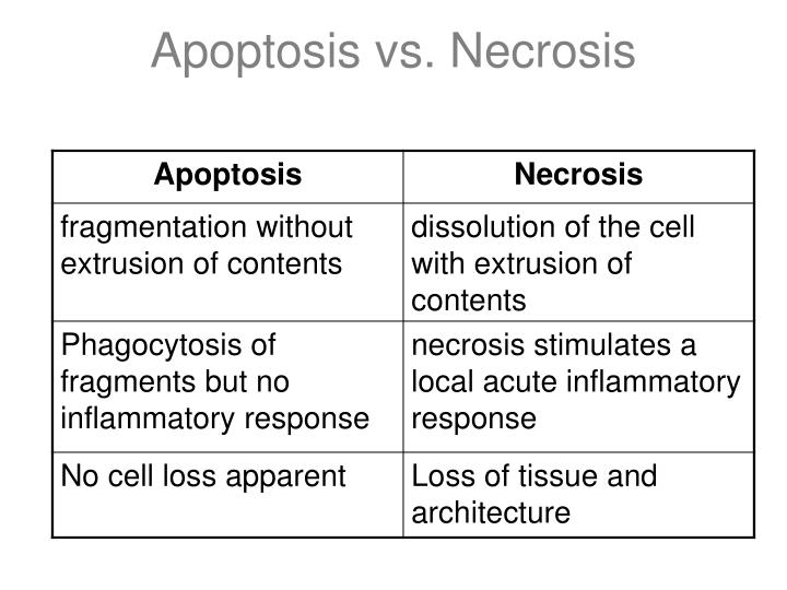 PPT - Pathology Review Flash Cards General Pathology PowerPoint ...