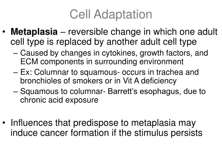 PPT - Pathology Review Flash Cards General Pathology PowerPoint ...
