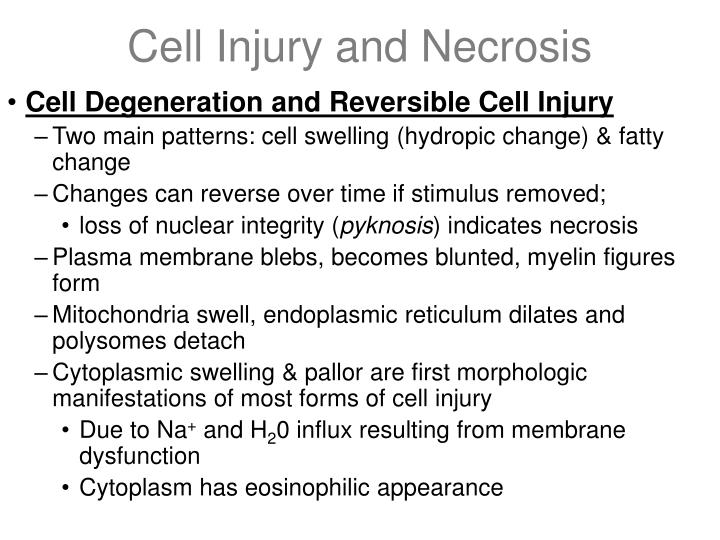 PPT - Pathology Review Flash Cards General Pathology PowerPoint ...