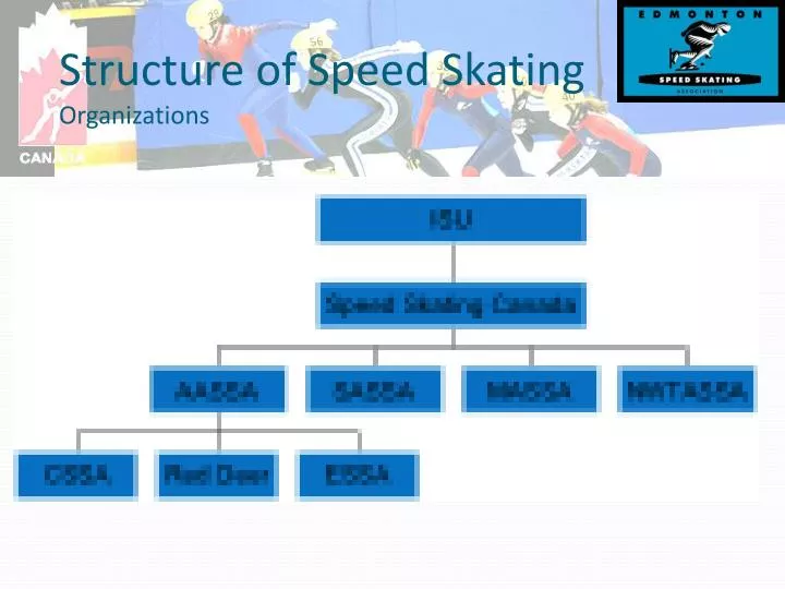 PPT - Structure of Speed Skating Organizations PowerPoint Presentation ...