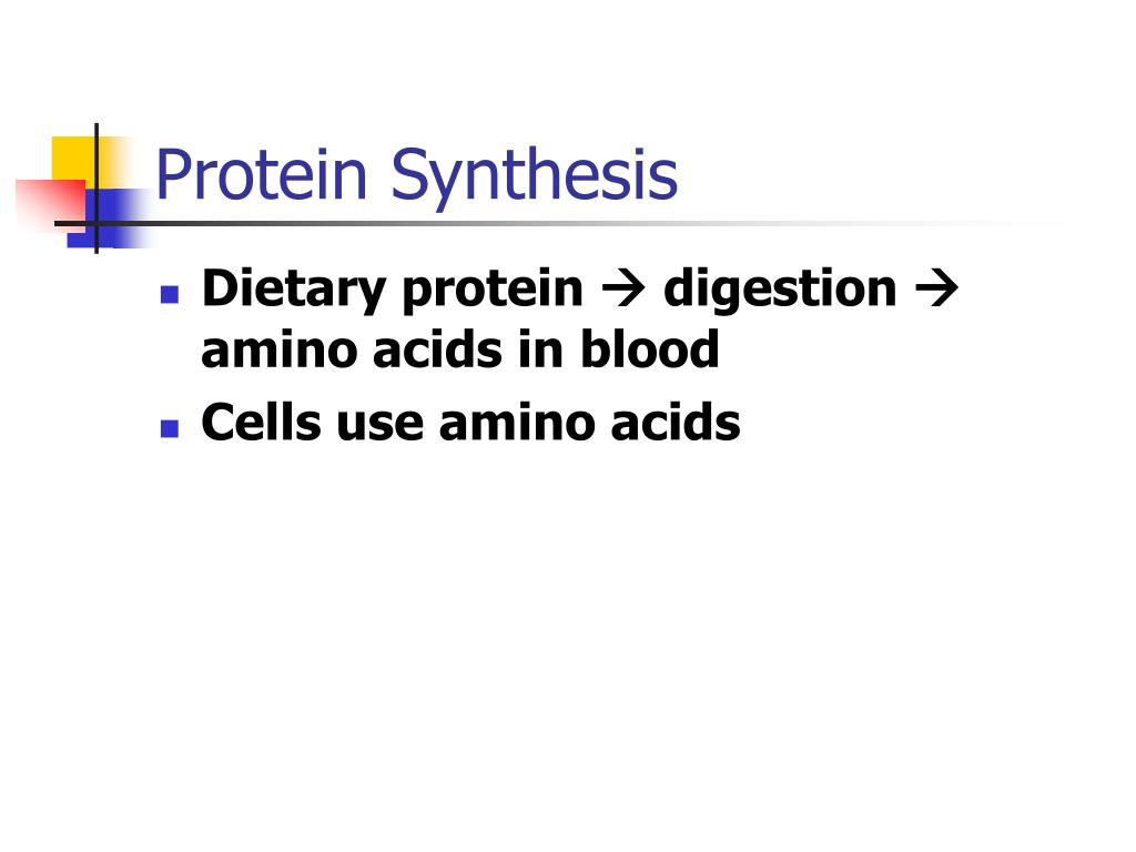 PPT - Protein & Amino Acids PowerPoint Presentation, free download - ID ...