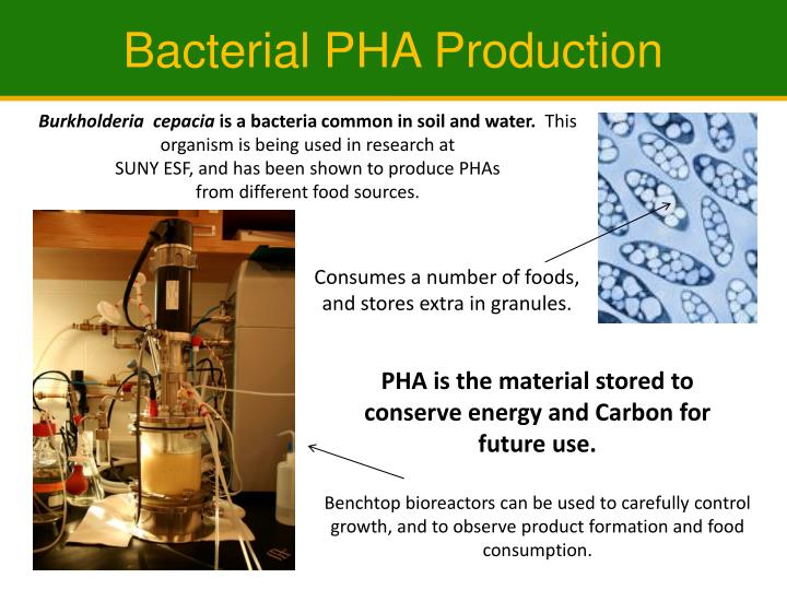 PPT - Use of Biodiesel Waste Glycerol in the Bacterial Production of ...