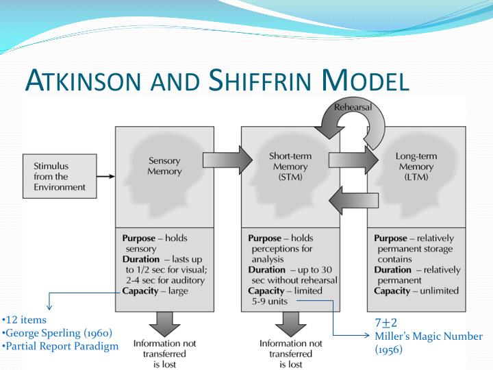 PPT - Long-Term & Short-Term Memory PowerPoint Presentation - ID:658546