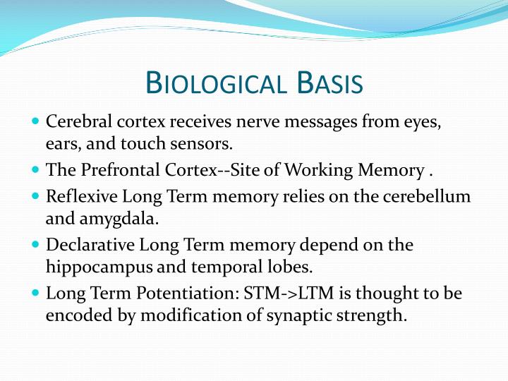 PPT - Long-Term & Short-Term Memory PowerPoint Presentation - ID:658546