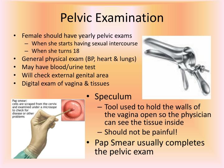 PPT - FEMALE REPRODUCTIVE SYSTEM PowerPoint Presentation - ID:659386
