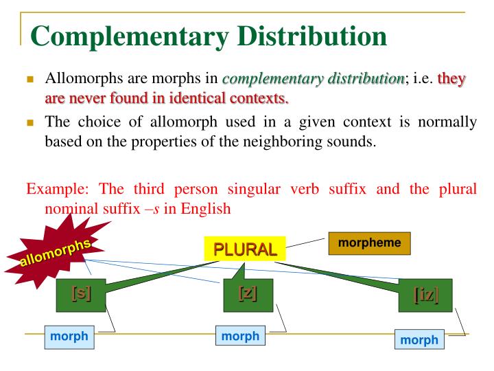 PPT - English Lexicology Morphological Structure of English Words ...