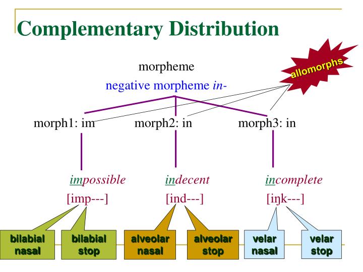 PPT - English Lexicology Morphological Structure of English Words ...