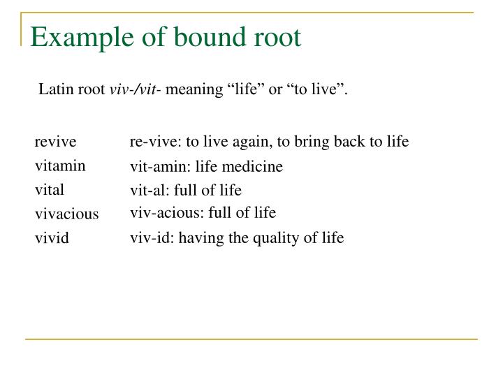PPT - English Lexicology Morphological Structure of English Words ...