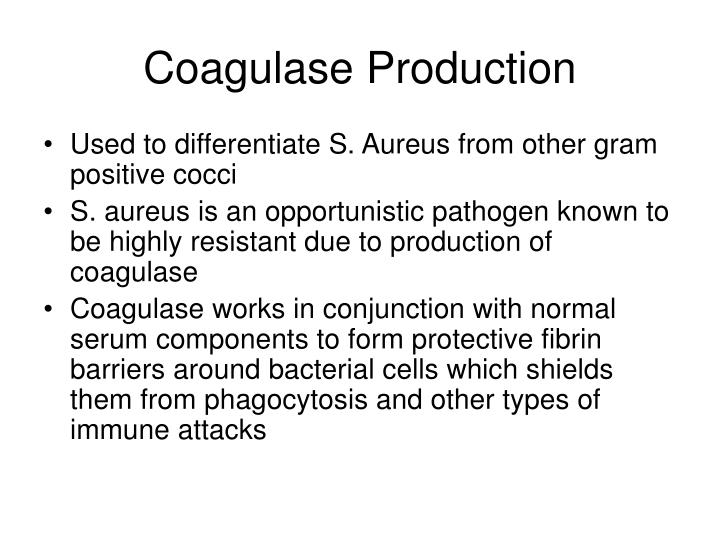 PPT - Microbiology PowerPoint Presentation - ID:660132