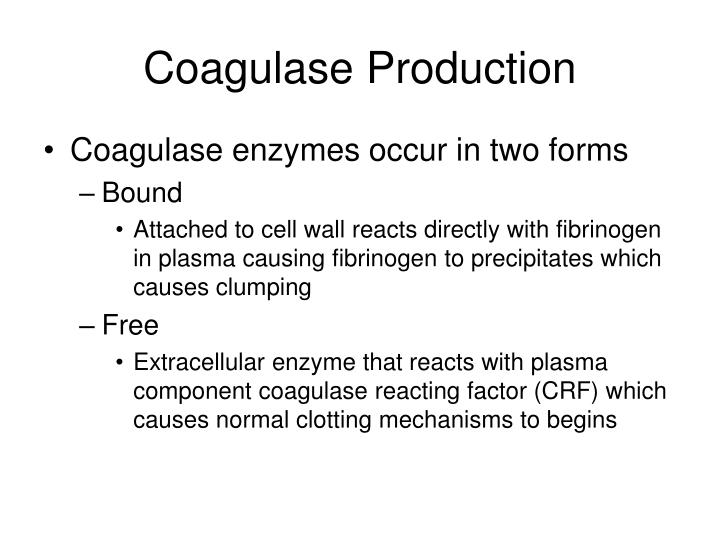 PPT - Microbiology PowerPoint Presentation - ID:660132