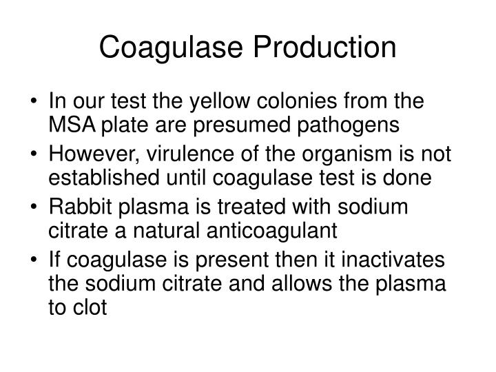 PPT - Microbiology PowerPoint Presentation - ID:660132