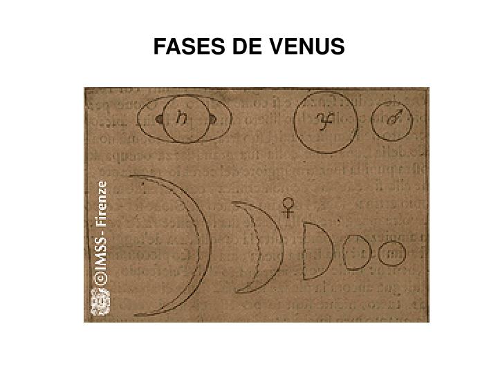 PPT - GALILEO GALILEI ( 1564-1642) PowerPoint Presentation - ID:660541