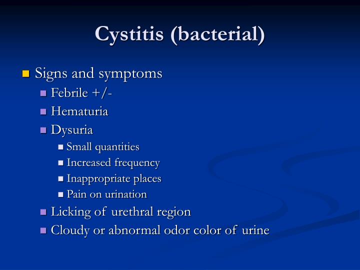 PPT - Diseases of the Urinary System PowerPoint Presentation - ID:660941
