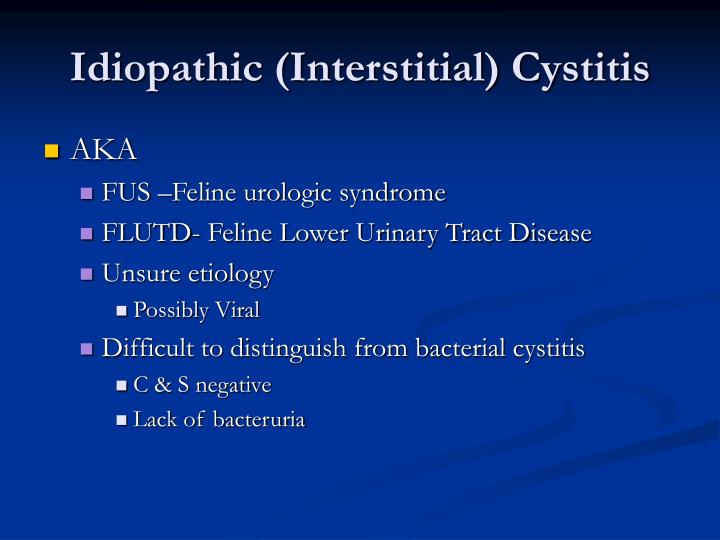 PPT - Diseases of the Urinary System PowerPoint Presentation - ID:660941