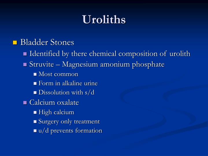 PPT - Diseases of the Urinary System PowerPoint Presentation - ID:660941