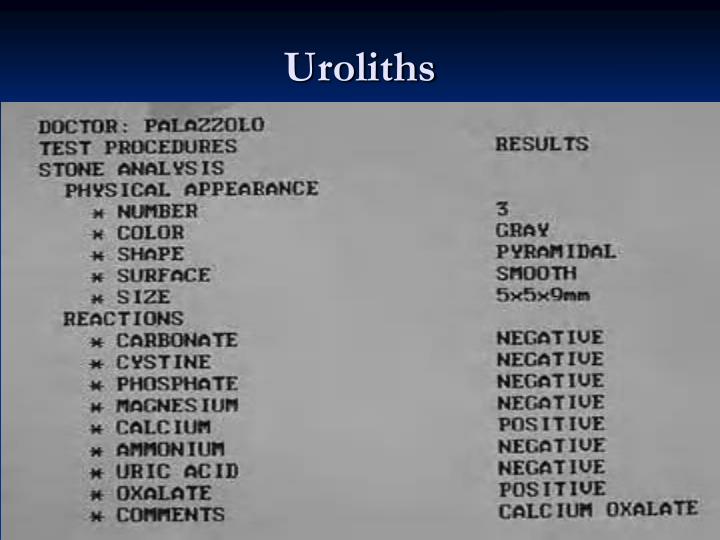 PPT - Diseases of the Urinary System PowerPoint Presentation - ID:660941