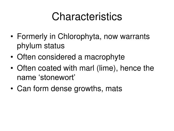 PPT - Charophyta PowerPoint Presentation - ID:663591