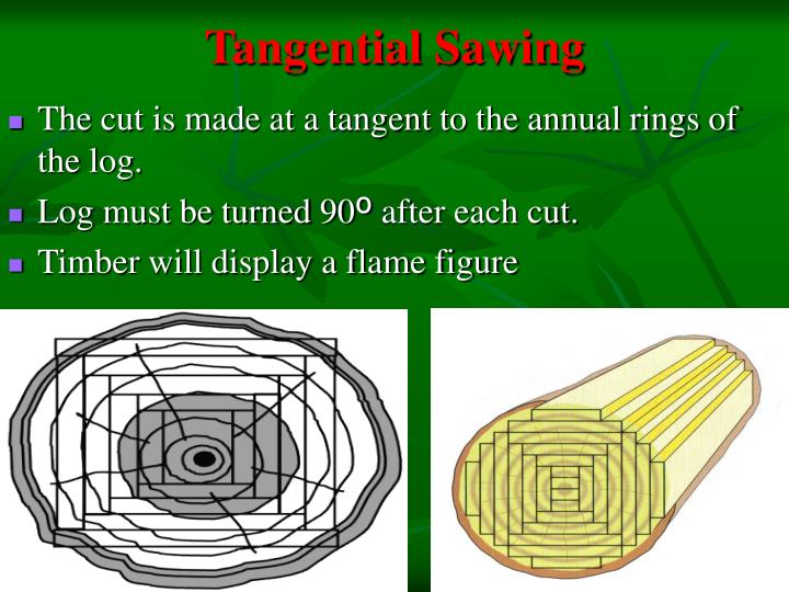 PPT - Conversion of Timber PowerPoint Presentation - ID:664192