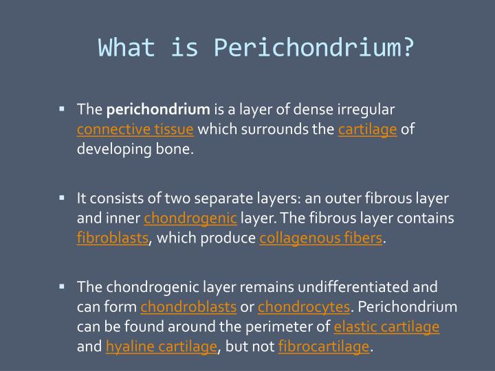 PPT - ABOUT CONNECTIVE TISSUE ………. PowerPoint Presentation - ID:664568