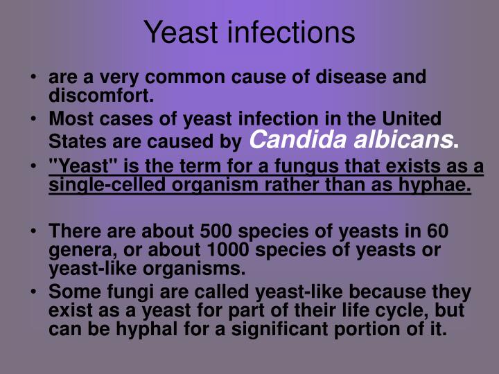 PPT - Characteristics of Kingdom Fungi PowerPoint Presentation - ID:664656