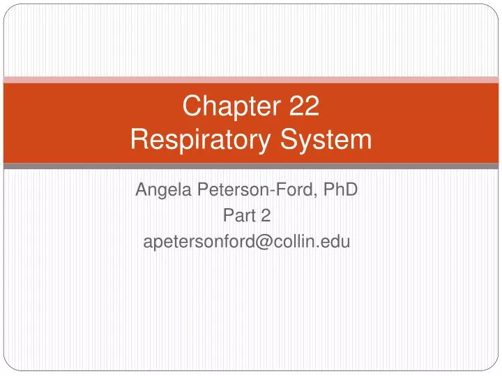 PPT - Chapter 22 Respiratory System PowerPoint Presentation, free ...