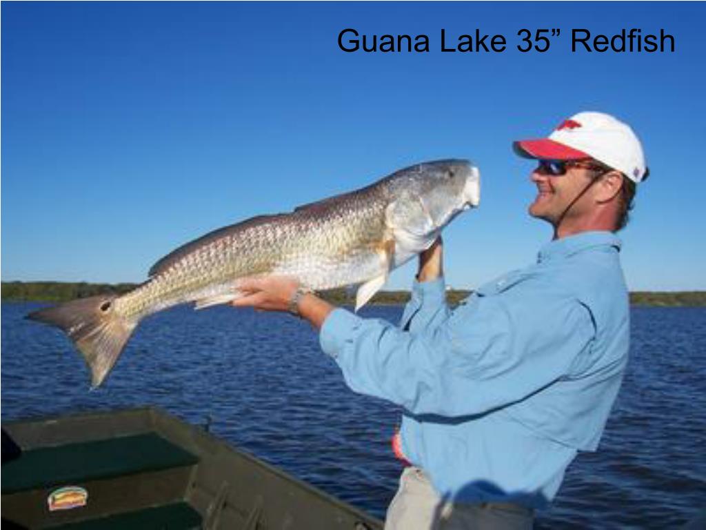 PPT - Fishing the St. John’s River & Guana Lake Hosted by Thrifty ...