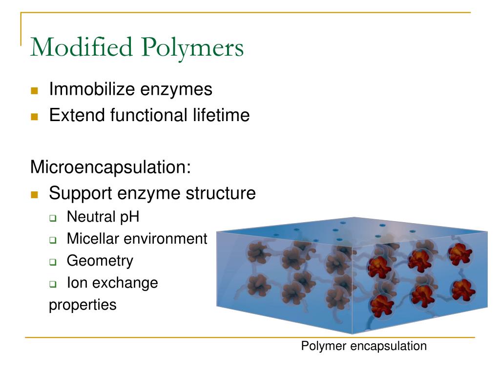 PPT - Joe Fazio BE REU @ SLU Dr. Shelley D. Minteer Kyle Sj ö holm SLU ...