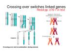 PPT - Non Mendelian Inheritance Patterns PowerPoint Presentation - ID ...