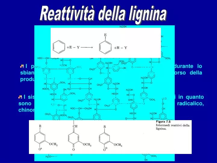 PPT - Reattività della lignina PowerPoint Presentation, free download ...