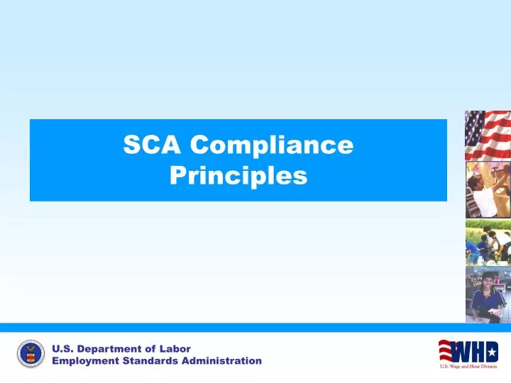 PPT - SCA Compliance Principles PowerPoint Presentation, free download ...