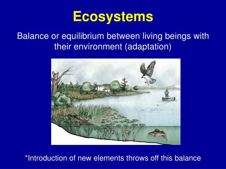 PPT - Social Work Theory PowerPoint Presentation - ID:668337