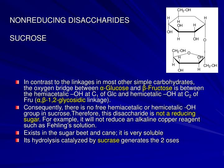 PPT - CARBOHYDRATES PowerPoint Presentation - ID:668663