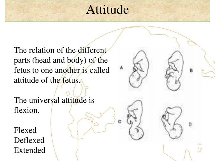 PPT - Lie, Presentation, Position, Attitude and Denominator PowerPoint ...