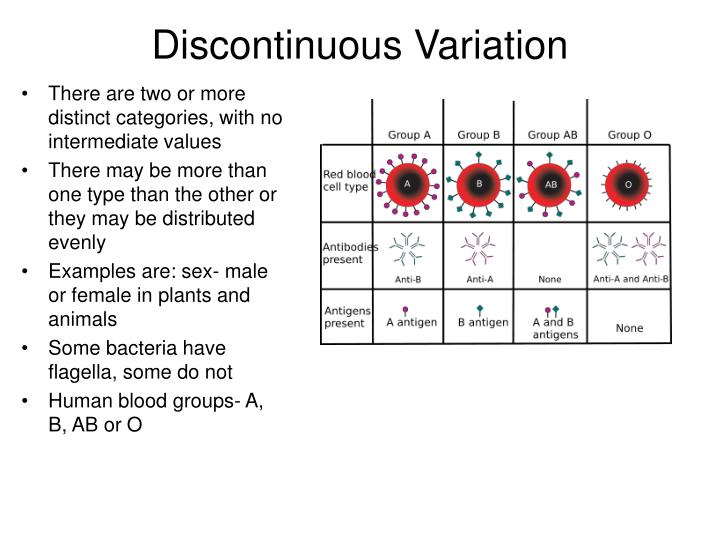 PPT - Evolution PowerPoint Presentation - ID:669335