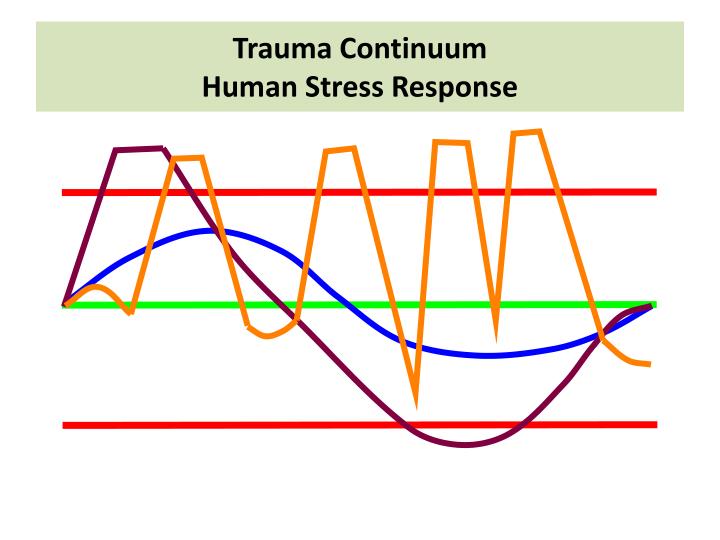 PPT - Military Culture & Treatment - 101 PowerPoint Presentation - ID ...