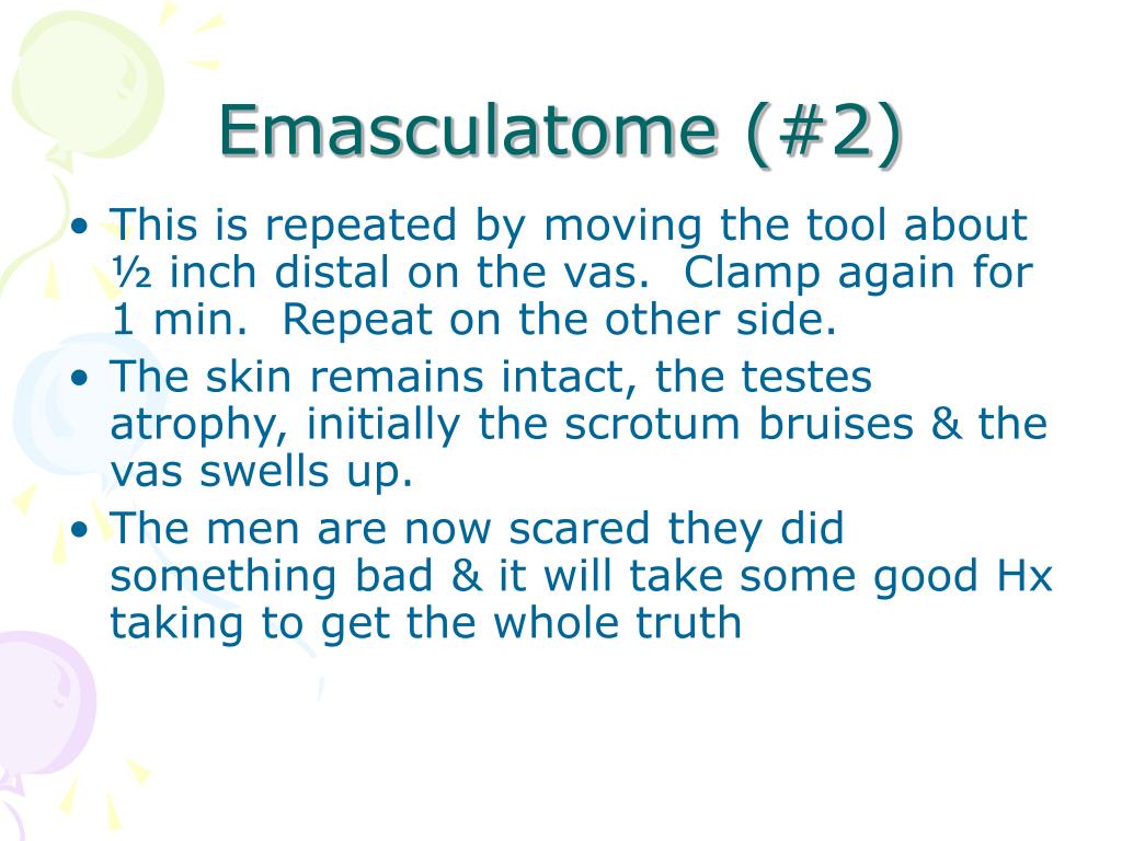 PPT - Exanimation of the Male Reproductive Anatomy PowerPoint ...