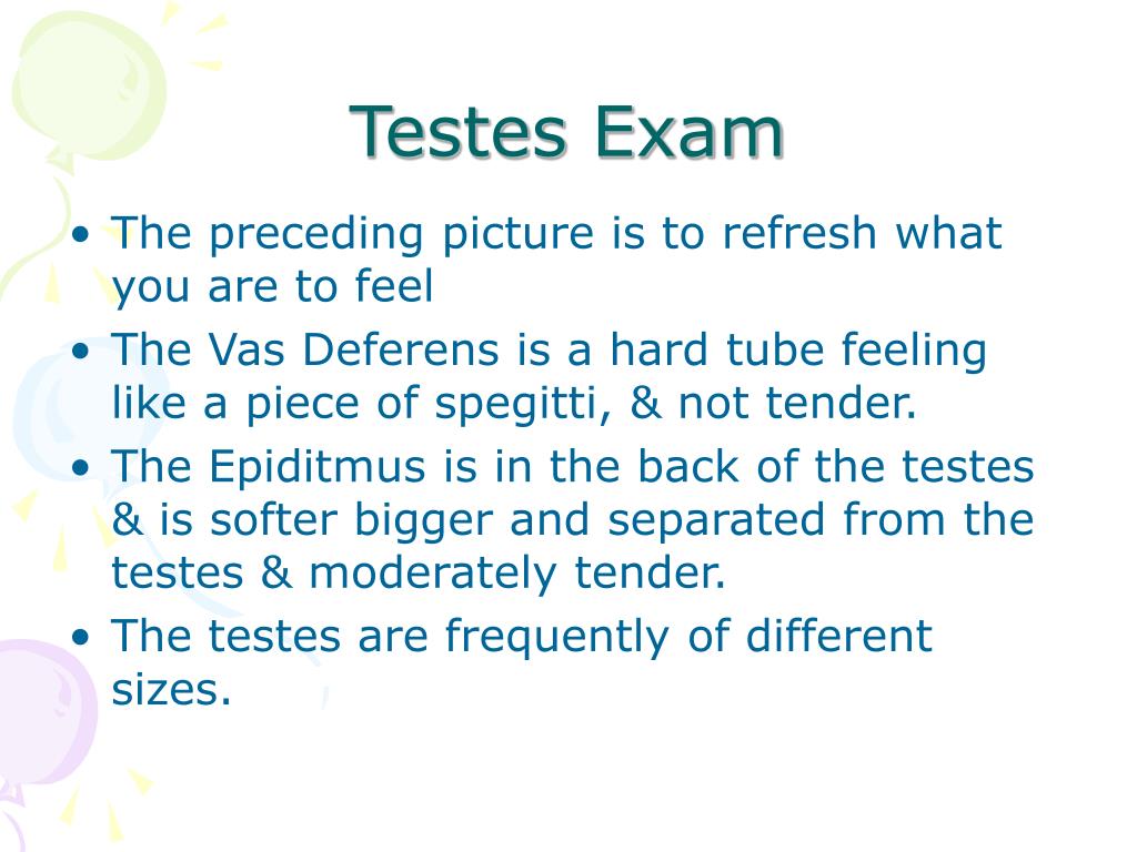 PPT - Exanimation of the Male Reproductive Anatomy PowerPoint ...