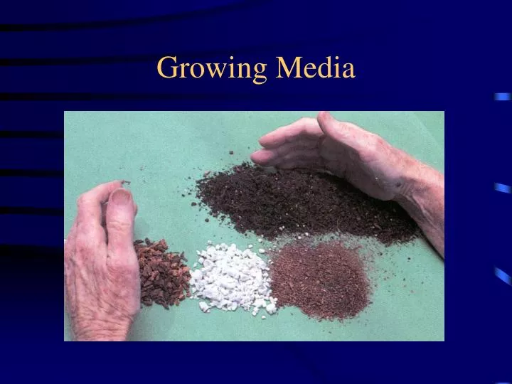 PPT - Growing Media PowerPoint Presentation, free download - ID:670376