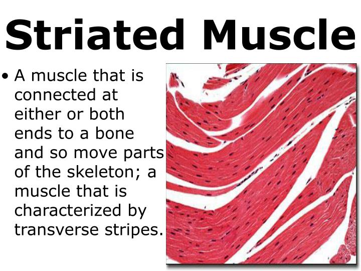 PPT - 7th Grade Unit 5: The Structure and Function of Body Systems ...