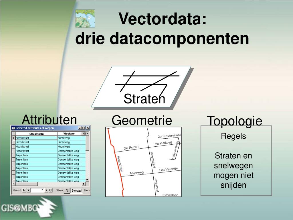 PPT - Specialisatie Infratechniek (beheer van kabels & leidingen) GIS ...