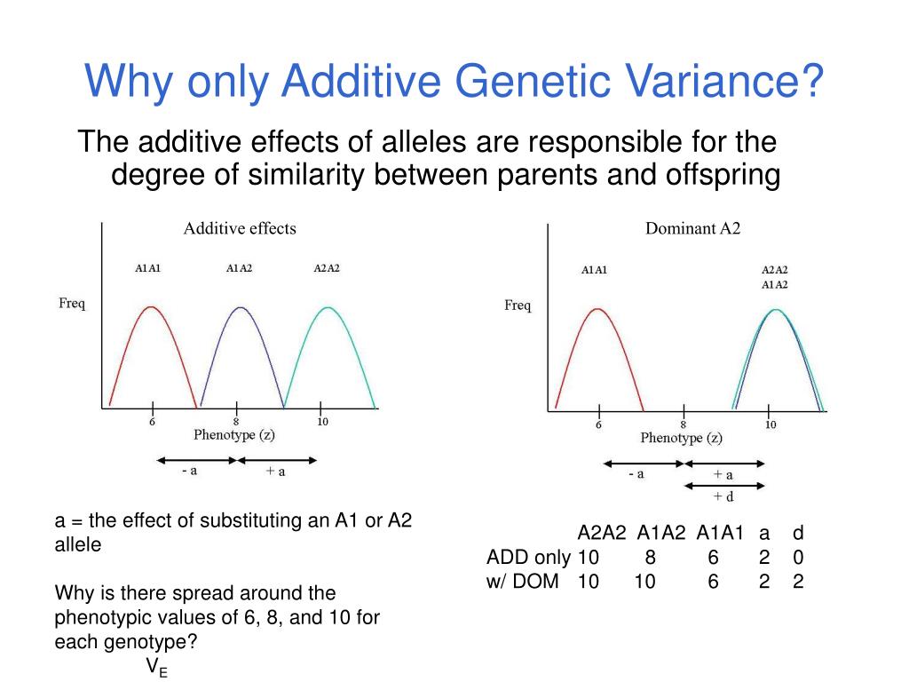 PPT Quantitative Genetics PowerPoint Presentation Free Download ID PPT Quantitative Genetics PowerPoint Presentation Free Download ID