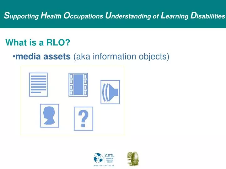 PPT - What is a RLO? PowerPoint Presentation, free download - ID:67415