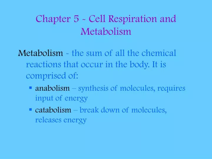 PPT - Chapter 5 - Cell Respiration and Metabolism PowerPoint ...