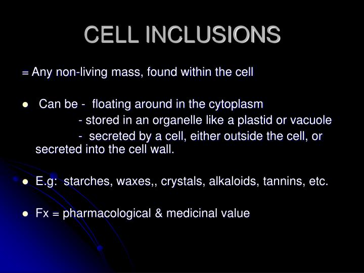 PPT - PLANT HISTOLOGY PowerPoint Presentation - ID:675888