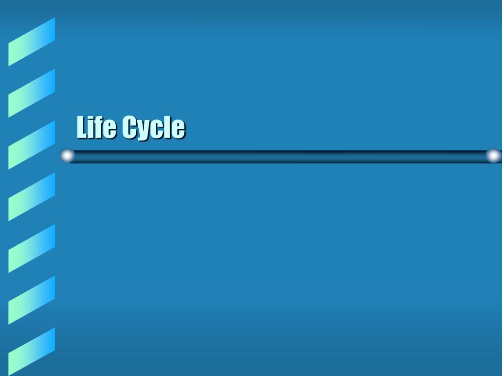 Life Cycle Template Powerpoint Free