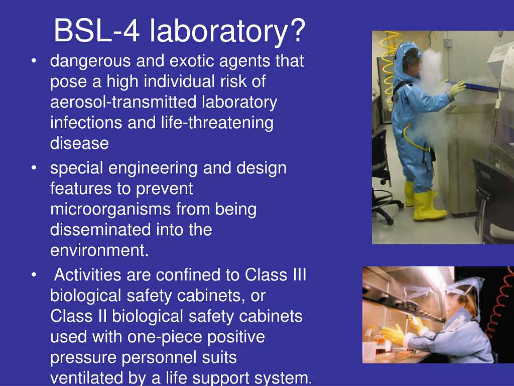 PPT - Viral Haemorrhagic Fevers PowerPoint Presentation - ID:676756